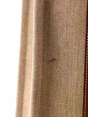 Chloé Woody Canvas With Leather Medium Tote Bag