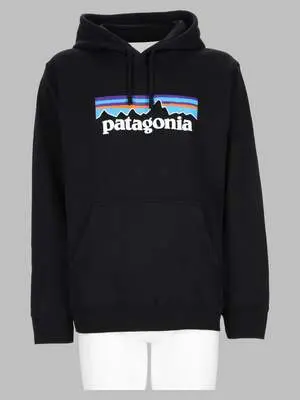 Patagonia Lightweight Logo Sweatshirt