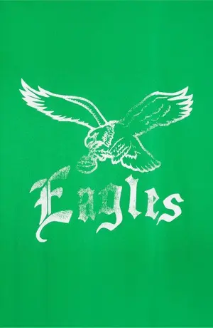 Junk Food Philadelphia Eagles Fly Cotton Graphic T-shirt
