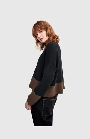 Alembika Vista Block Sweater - Black/brown