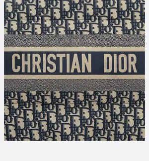 Dior Dioralps Down Jacket With Belt
