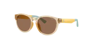 Polo Ralph Lauren Sunglass Pp9512u - Dark Brown