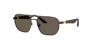 Emporio Armani Sunglass Ek2003 - Dark Brown