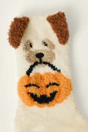 PJ Salvage Boyfriend Boxer Trick-or-treating Dog Socks