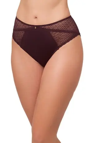 MONTELLE INTIMATES Lace & Microfiber Briefs - Fudge
