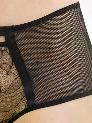Chantelle Lace-panelled Mesh Briefs