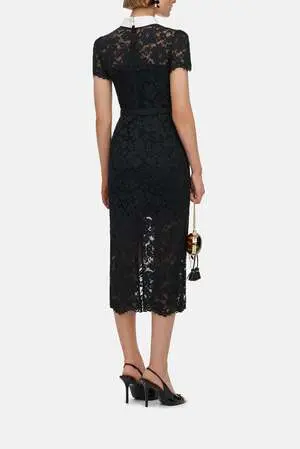 SELF-PORTRAIT Black Lace Contrast Collar Midi Dress - Multicolor