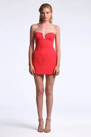 Bcbgmaxazria Ramone Dress