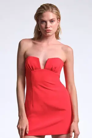 Bcbgmaxazria Ramone Dress