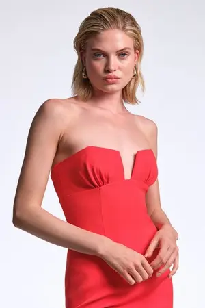 Bcbgmaxazria Ramone Dress