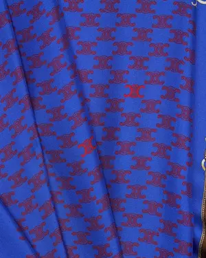 Celine Patterned Silk Scarf