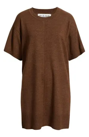 CITY BLUES Crewneck Sweater Dress - Brown