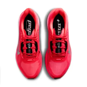 Nike Pegasus Plus 2 Road Running Shoes