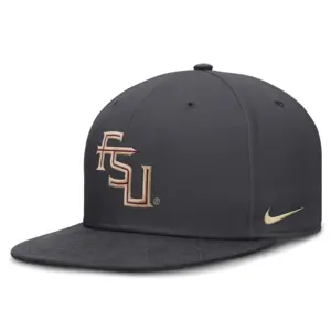 Nike Florida State Pro Dri-fit College Fitted Hat - Grey