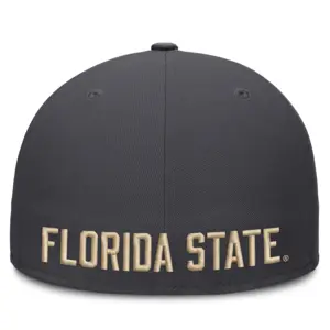 Nike Florida State Pro Dri-fit College Fitted Hat