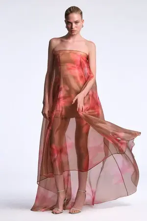 Bcbgmaxazria Annika Gown