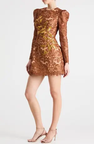 HELSI Savannah Embroidered Long Sleeve Minidress