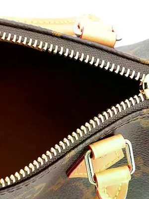 LOUIS VUITTON 2000-2026 Monogram Nano Speedy Satchel