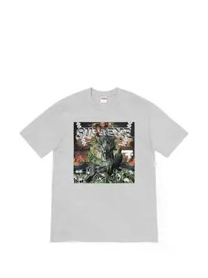 Supreme Dragon Graphic T-shirt - Grey