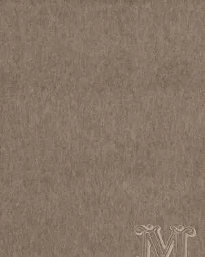 Max Mara Dalia Scarf - Beige