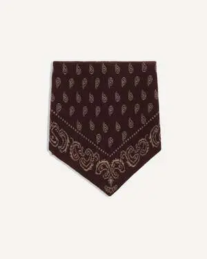 Guest In Residence The Wild Rag Scarf