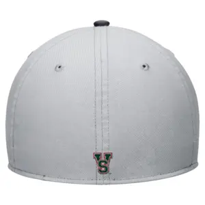 Nike Mississippi Valley State Universty Swooshflex Dri-fit College Cap
