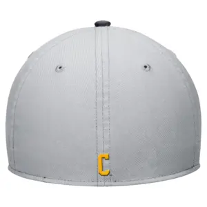 Nike Coppin State University Swooshflex Dri-fit College Cap
