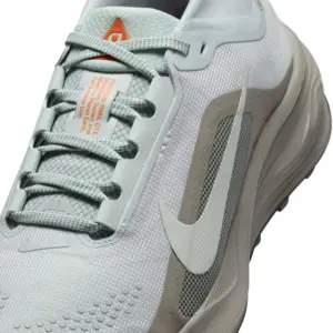 Nike Pegasus Trail Gore-tex Waterproof Trail Running Shoes - Grey