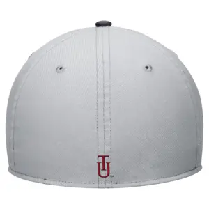 Nike Tuskegee University Swooshflex Dri-fit College Cap
