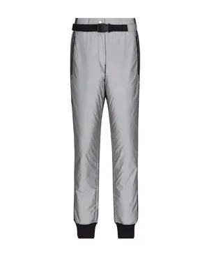Dior Dioralps Ski Pants - Gray