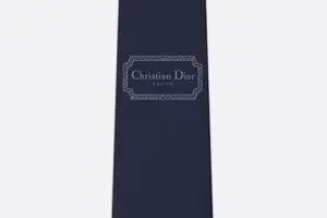 Dior Tie