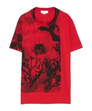Alexander McQueen Crew-neck T-shirt - Red/black