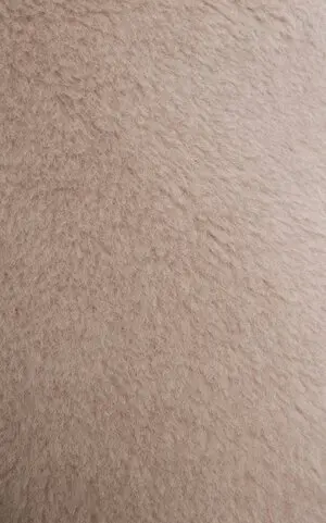 Max Mara Alpaca-blend Coat