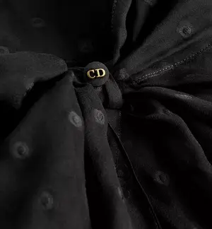 Dior Sheer Blouse With Tied Collar