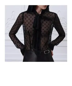 Dior Sheer Blouse With Tied Collar