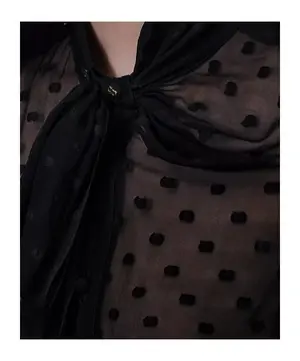 Dior Sheer Blouse With Tied Collar