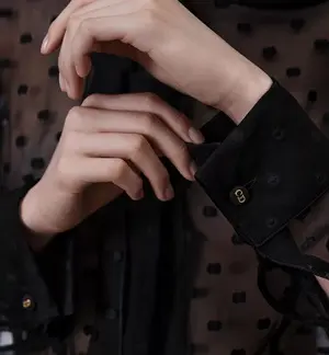 Dior Sheer Blouse With Tied Collar