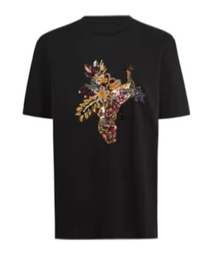 Etro Paisley T-shirts For Women