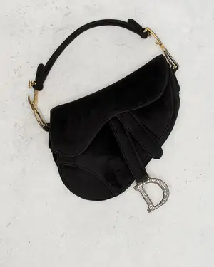 FWRD RENEW Dior Velvet Mini Saddle Bag