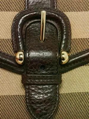Burberry Check-pattern Buckle Wallet