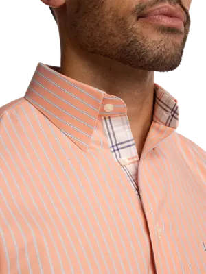 PAUL FREDRICK Cotton Poly Spandex Point Collar Twill Tailored Contrast Trim Button Cuff Long Sleeve Shirt