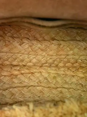 Loewe 2019 Mini Raffia Gate Crossbody Bag