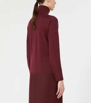 Max Mara Virgin Wool Rollneck Sweater