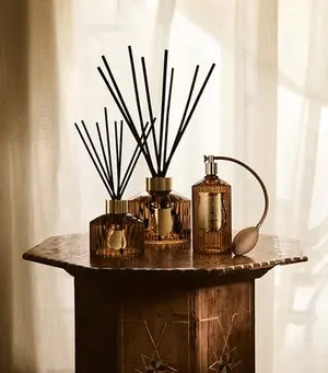 TRUDON Altaïr Diffuser