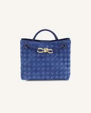 Bottega Veneta Andiamo Small Handbag