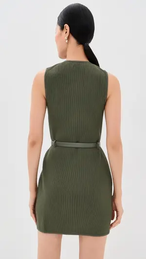 Simkhai Viretta Mini Dress