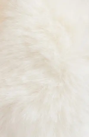 Treasure & Bond Faux Fur Earmuffs - Ivory