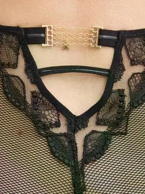 Chantelle Lace-panelled Mesh Briefs