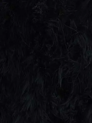 YVES SALOMON Short Shearling Jacket With Round Collar And Three-quarter Sleeves In Fur For - Black