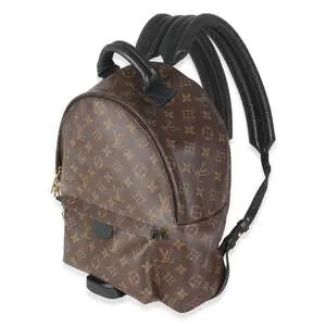 LOUIS VUITTON Monogram Canvas Palm Springs Mm - Brown